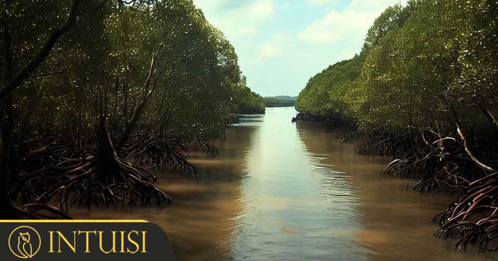 Sepatin, Desa Pesisir yang Bermimpi Jadi Destinasi Wisata