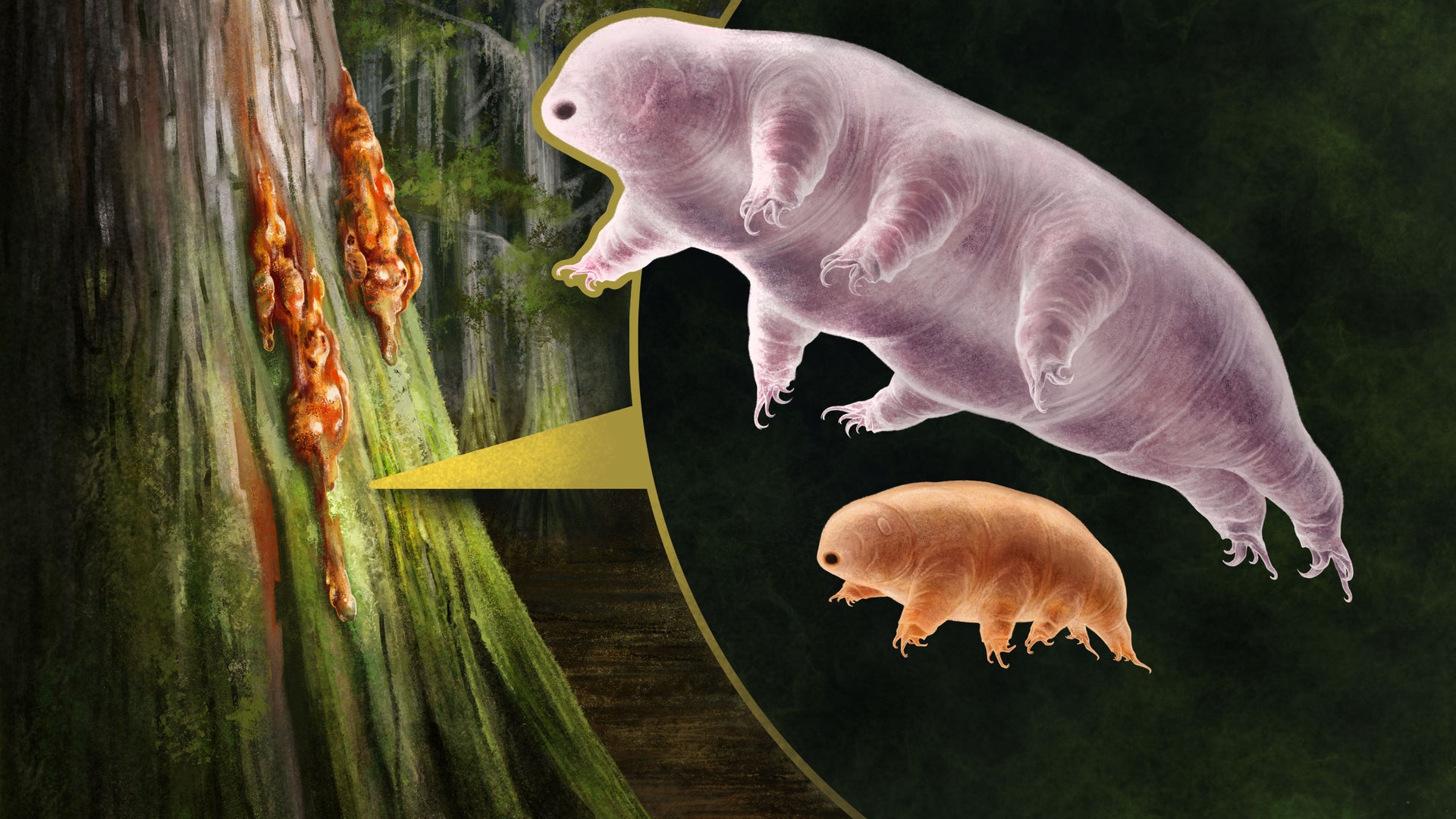 Deretan Hewan dengan Kekuatan 'Superpower' Paling Ajaib di Dunia